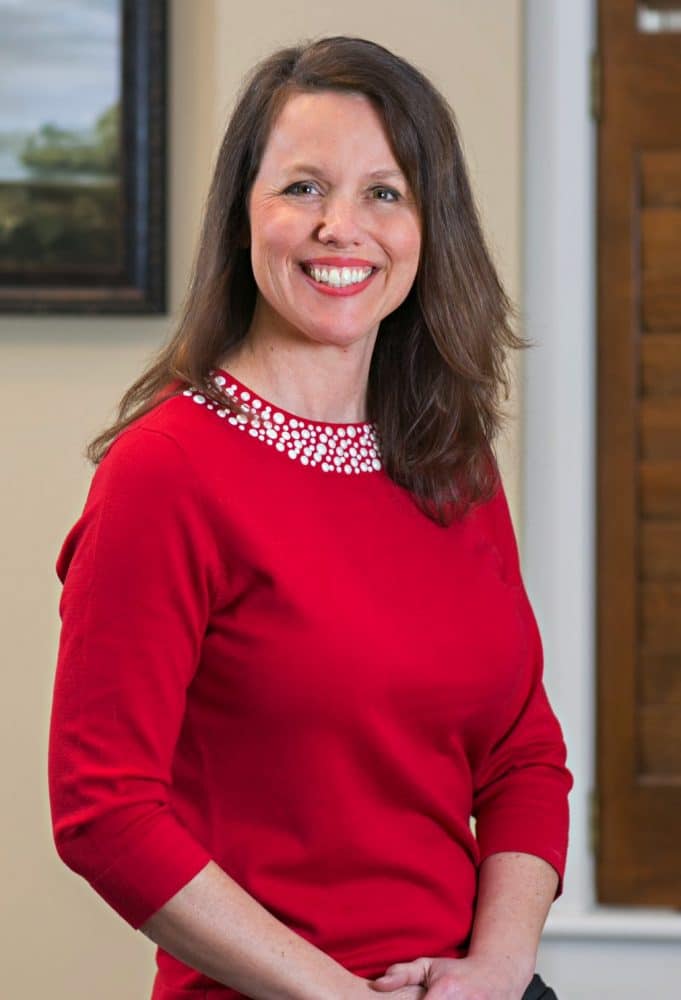 Business Litigation Attorneys | Litigation Lawyers | Governmental Issues